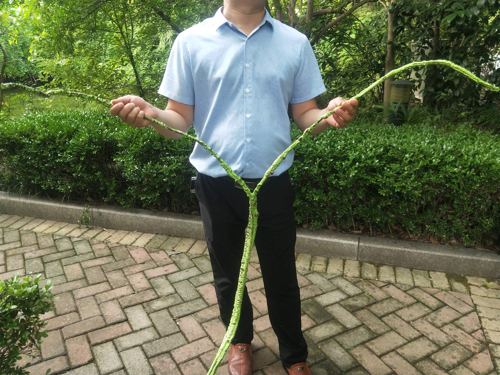 Flexible Bend-A-Branch Reptile Vines,Terrarium Decor,Long Jungle Climber Vines Habitat Decor for Chameleon Climbing Lizards Snakes and More Small Animals