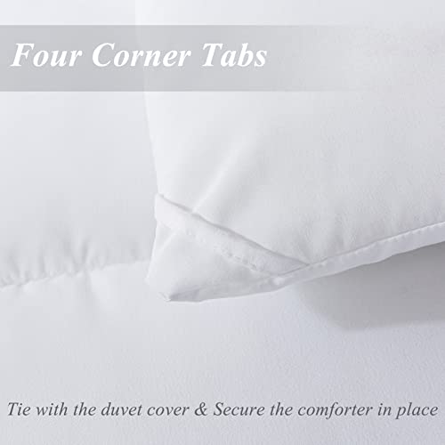 ELNIDO QUEEN California King Comforter Duvet Insert - White Comforters California King Size -All Season Fluffy Lightweight Down Alternative Comforter -Bed Quilted Comforter Cal King Size(104×96 Inch)