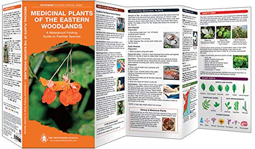 Medicinal Plants of the Eastern Woodlands: A Folding Guide to Familiar Species (Outdoor Recreation and Survival)