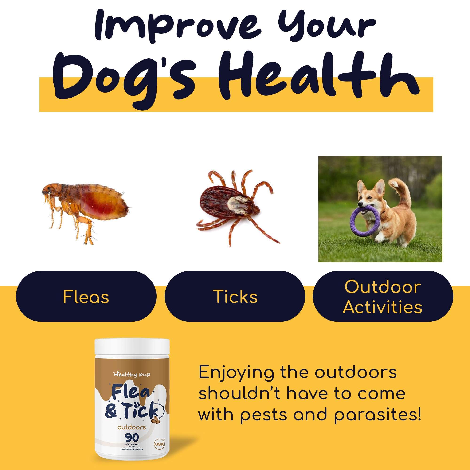 Flea and Tick Prevention for Dogs, Chewable β 90 Peanut Butter Flavored Soft Chews β Made with B Vitamins, Garlic Powder, Brewers Yeast, Coconut Oil, and Apple Cider Vinegar
