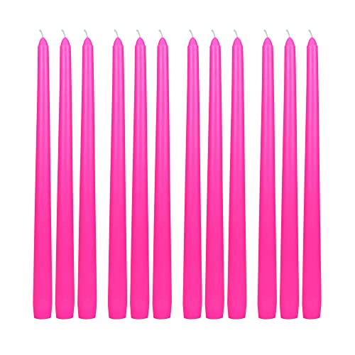 Zest Candle 12-Piece Taper Candles, 12-Inch, Hot Pink
