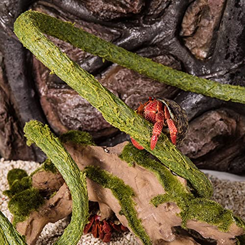Hermit Crab Climbing Toys, Jungle Vines for Reptiles, Small Animal Terrarium Decor, Bendable, Artificial, for Hermit Crab, Frog, Reptile