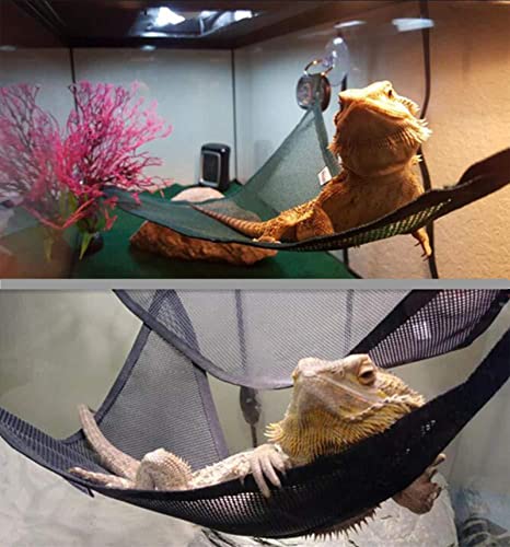 Lucky Interests 6 pcs Reptile Hammock Lounger, Lizard Hammock with Strong Suction Cup Triangle Bearded Dragon Lounger for Iguanas Geckos Lizards Anoles Snakes with 6 Reptile Food Bowl (Green, Black)