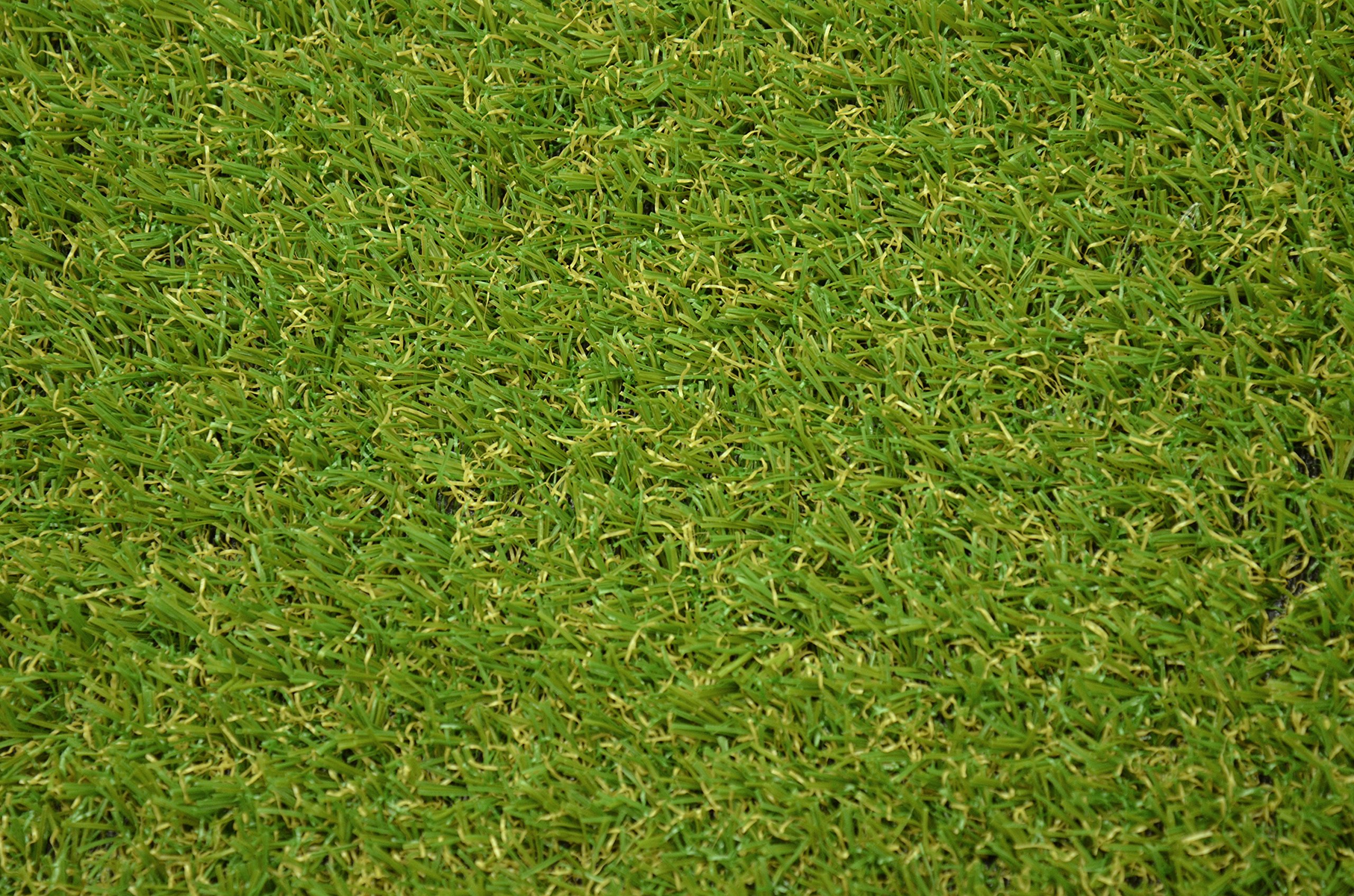 Garland Rug Puppy Pee Pad Artificial Grass Turf Rug, 24 in x 48 in, Green