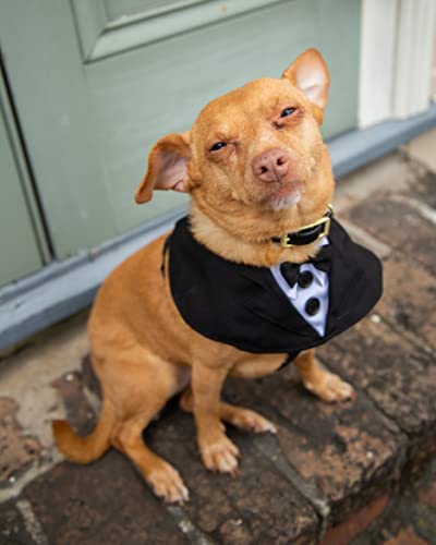 Dog Tuxedo Suit & Bow Tie Set by Pet Krewe, Stylish Wedding Tux Party Outfit for Small and Large Dogs