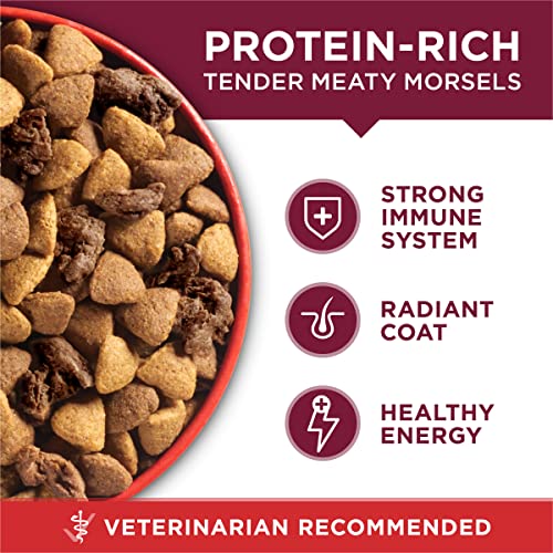 Purina ONE Small Bites Beef and Rice Formula Small Dog Food Dry - 8 lb. Bag