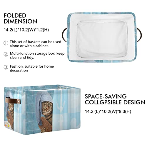 Foldable Storage Baskets,Funny Kitten Cat Storage Bins with Handles, Decorative Cloth Organizer Storage Boxes for Home|Office 15 x 11 x 9.5 in