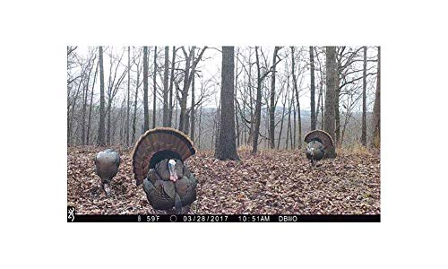 Browning Trail Cameras Dark Ops Extreme Camera, 720p