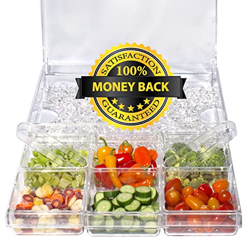 ImpiriLux Ice Chilled Six Compartment Condiment Server Caddy - Serving Tray Container with 6 Removable Dishes Each with 3.5 Cup Capacity | Domed Hinged Lid | 4 Serving Spoons + 4 Tongs Included