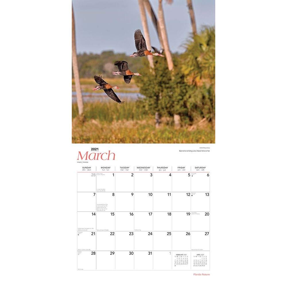 BrownTrout 2021 Florida Nature Wall Calendar
