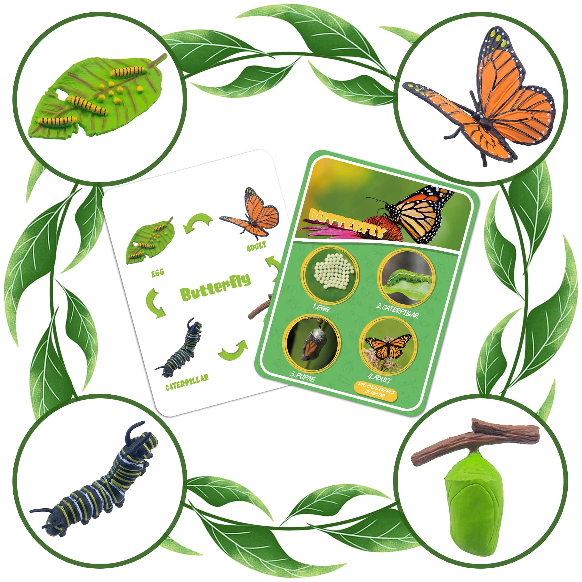 Life Cycle Figures of Frog, Chicken, Sea Turtle, Butterfly, Wasp, Locust, Science Toys kit, Animal Figures for Kids Age 3-12
