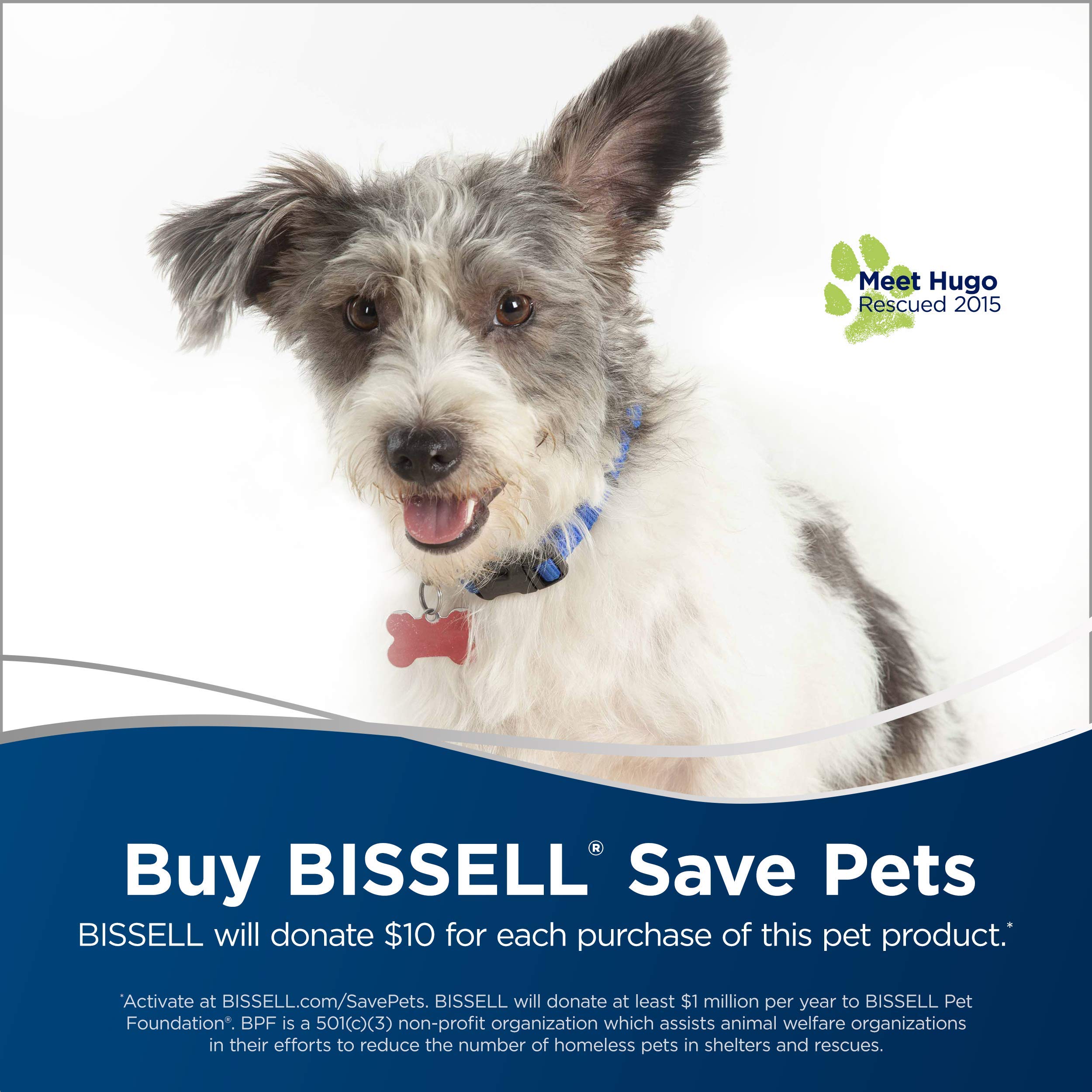 BISSELL JetScrub Pet Upright Carpet Cleaner, 25299 (Renewed)