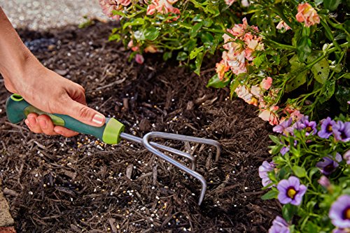 Miracle-Gro Shake 'N Feed All Purpose Plant Food, Plant Fertilizer, 4.5 lbs. (6-Pack)
