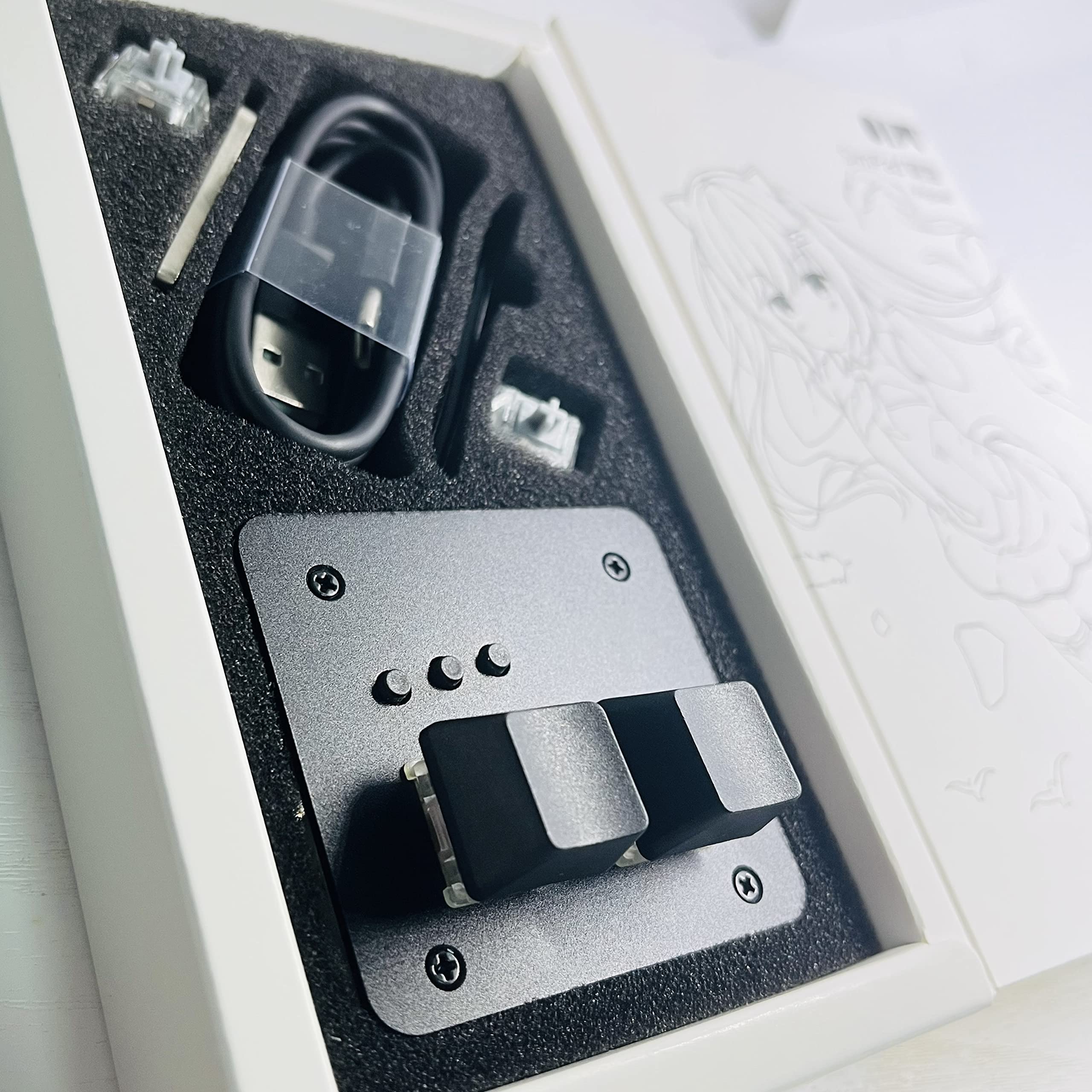 BTXETUEL Simpad v2 OSU keypad, Hotswap Mechanical Keyboard,USB Keyboard,Mini 2-Key RGB Macro Keyboard with Cheery Mx Red and Silver Switches for Programming and Rhythm Games.