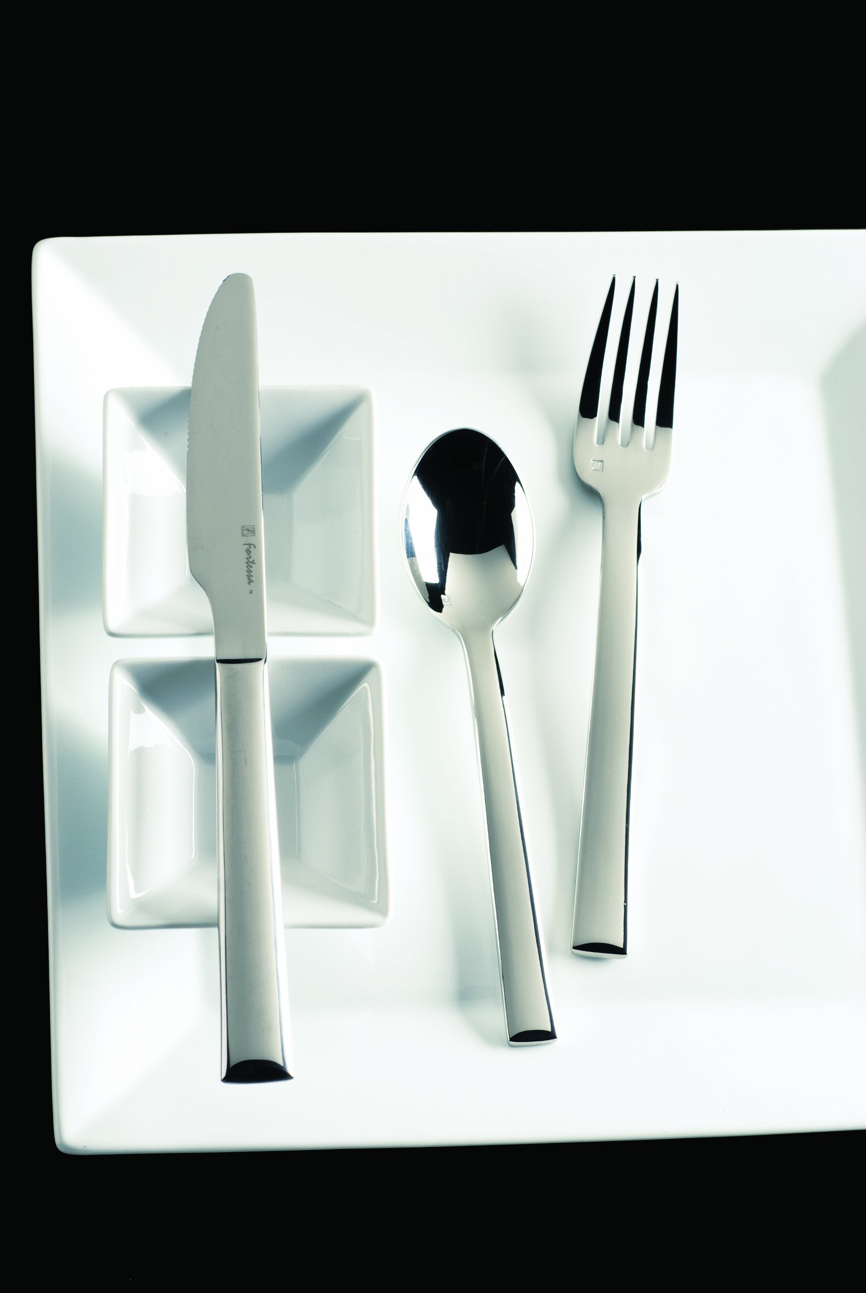 Fortessa Still 18/10 Stainless Steel Flatware Tea/Coffee Spoon, Set of 12