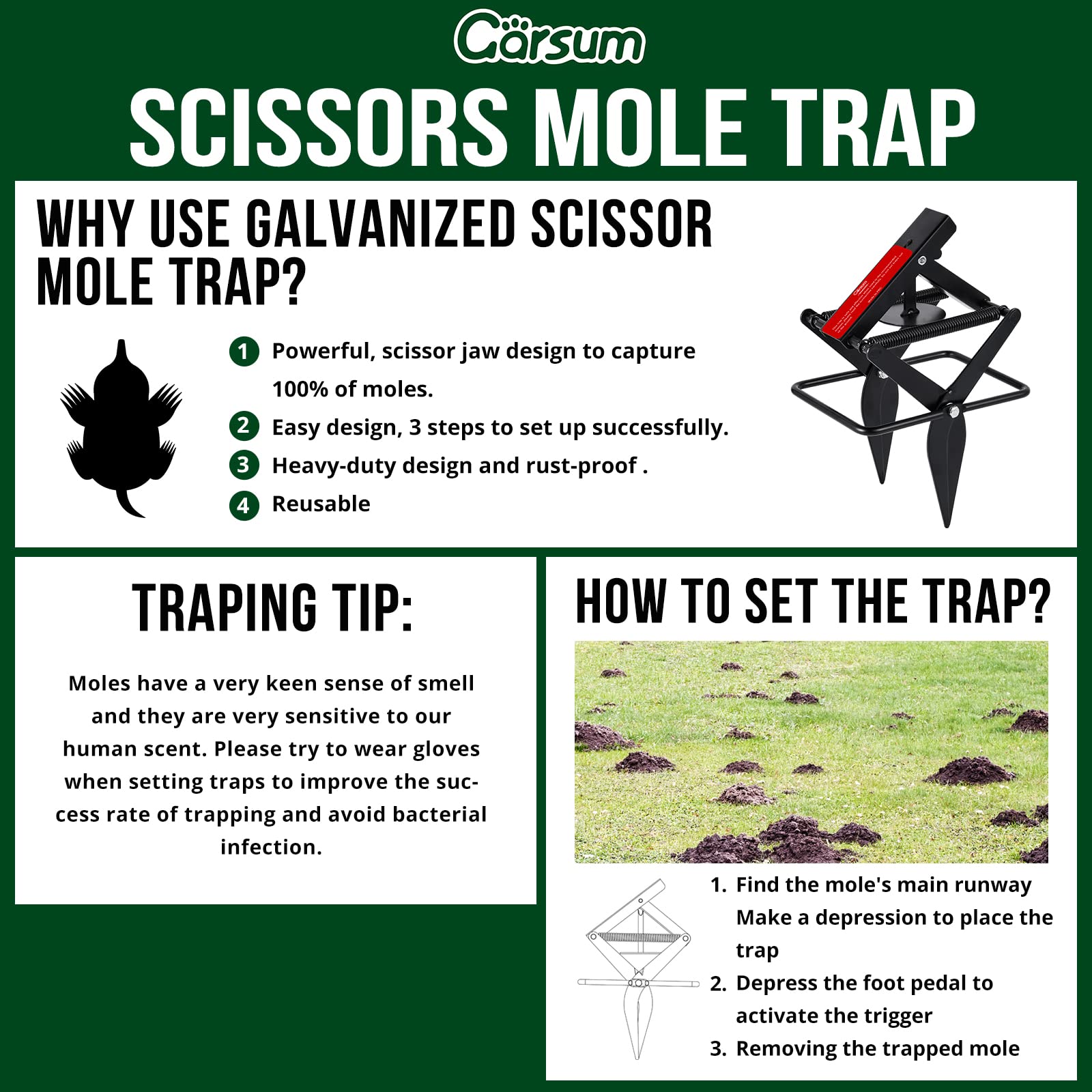 Garsum Mole Traps That Kill, EasySet Eliminator Black Scissor Traps, Vole Trap for Lawns, Reusable Quick & Clean Kill, Black_1 Mole Trap