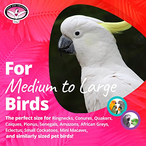 Super Bird Creations SB878 4 Way Fun Bird Toy, Medium/Large Bird Size, 11" x 4.5"