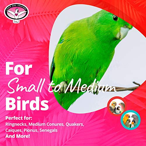 Super Bird Creations SB881 Seagrass Tent, Small/Medium Bird Size, 8β x 7β x 8β