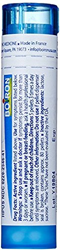 BOIRON USA - Hypericum Perforatum 6x [Health and Beauty]