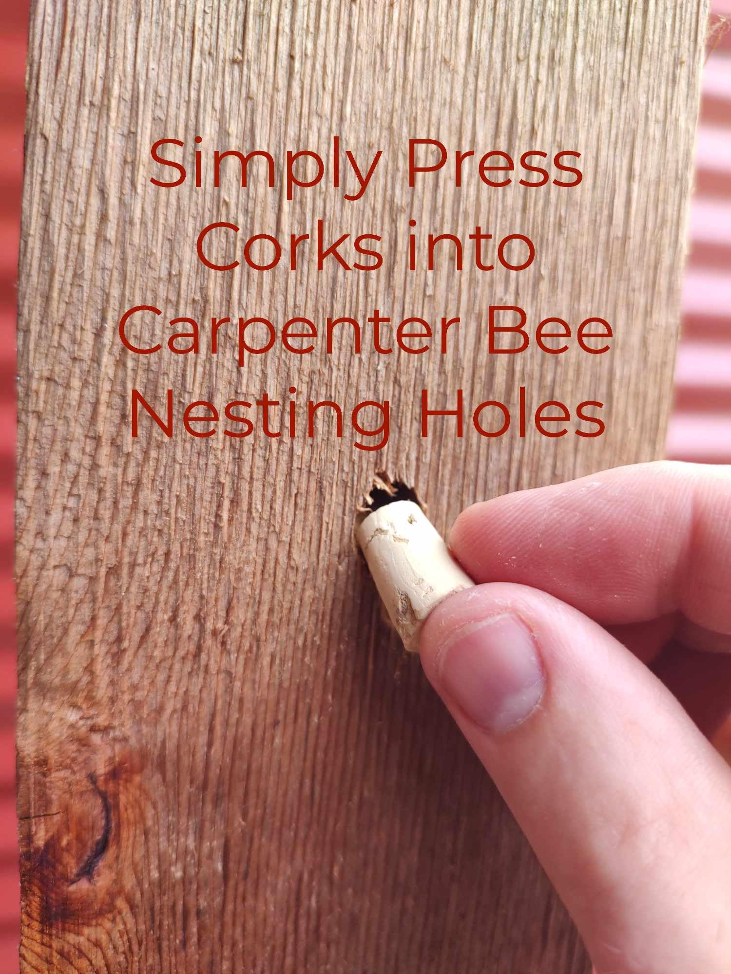 Donaldson Farms Carpenter Bee Corks - 100 Pack