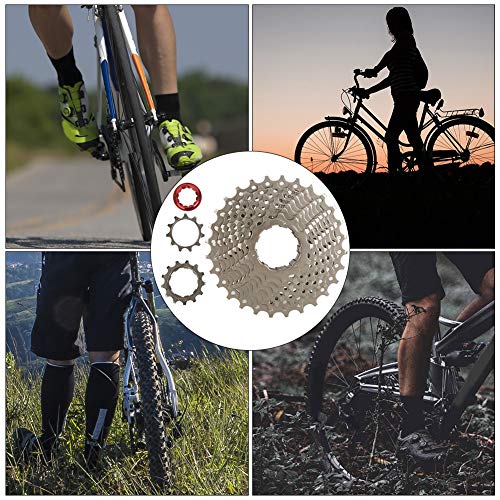 CCYLEZ Bike Freewheel, Ultra Light Series 10 Speed Cassette Threaded Type Hub Bike Accessories for Mountain Bicycle Road Bike