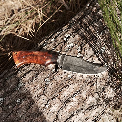 BIGCAT ROAR Handmade Damascus Hunting Knife - Bushcraft Fixed Blade Hunting Knife with Sheath and Walnut Wood Handle - 10″ EDC Skinning Knife - Bladesmith Pride