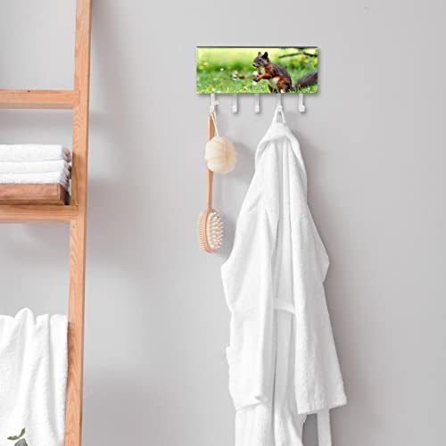 Cute Squirrel Mail Holder Organizer and Key Hooks PU Front, Self Adhesive Key Rack with 5 Hooks Perfect for Entryway, Hallway,Bathroom ,Kitchen