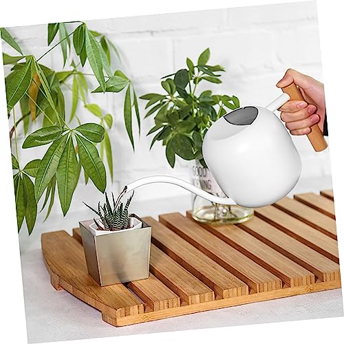 FUNOMOCYA Plant Watering Pot Watering Kettle Succulent Tools Upholstery Tools Stainless Steel Spray Bottle Plant Watering Kettle Metal Watering Can Gardening Watering Can Watering Can Vase