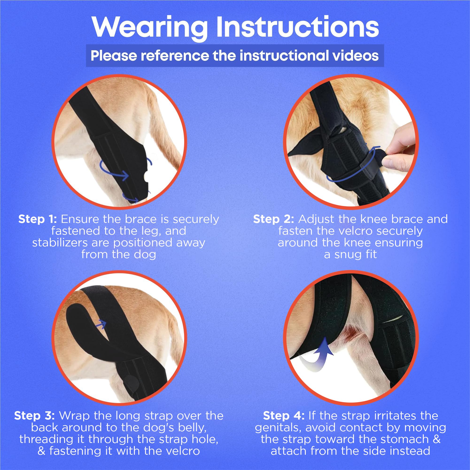 petbloom Dog Knee Brace for Torn ACL, Hip Dysplasia, Arthritis Pain Relief, Osteoarthritis, and Ligament Injuries, Adjustable Neoprene Support for Front or Hind Leg, Black (Large)