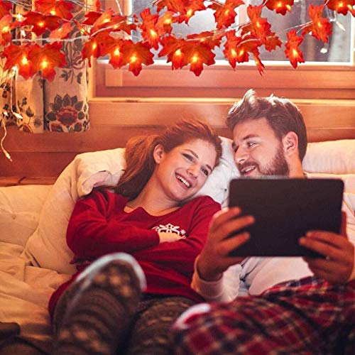 LIUPENGWEI Christmas String Lights, 3M, 20 LED Fairy Lights Theme Maple String Lights Home Decoration Fall Garden Garden Ghost Light