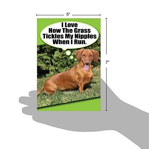 NobleWorks - 1 Adorable Birthday Card Funny - Pet Dog Animal Humor, Bday Notecard with Envelope - Tickle My N-pples C2069BDG