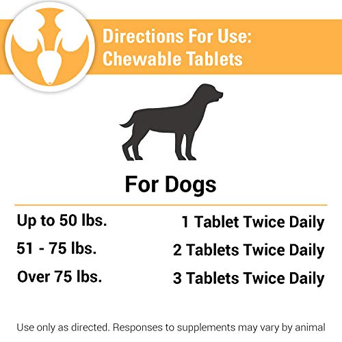 Vet Classics Bladder, Incontinence Support Dog Supplement – Supports Bladder Health for Dogs, Helps With Pet Incontinence – Includes Phytoestrogens, Botanicals – Chewable Tablets – 120 Ct.