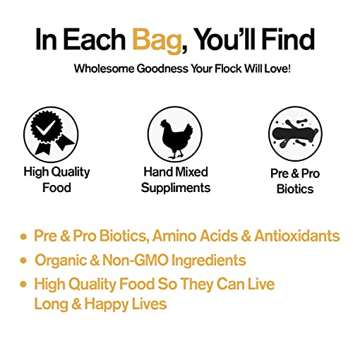 Fowl Treats Naturally Fortified Treats β Protein Rich Supplement Suitable for Chickens, Hens and Ducks, Hand Mixed with USA Grown Ingredients β Equinox Blend β 32oz