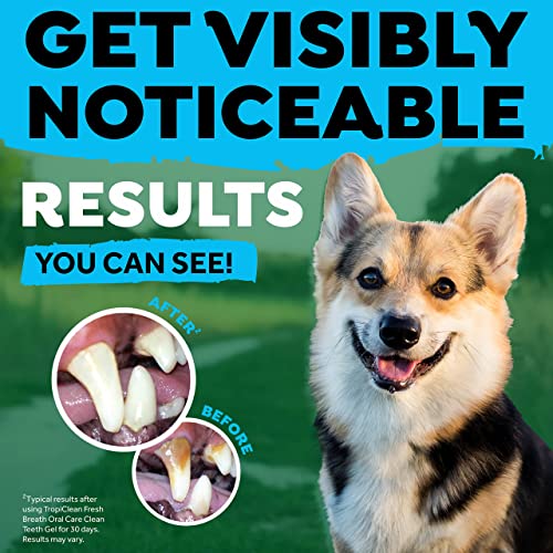 TropiClean Fresh Breath Oral Care Kit for Small & Medium Dogs - Complete Toothbrush & Toothpaste Gel Kit - Helps Remove Plaque & Tartar + Breath Freshener