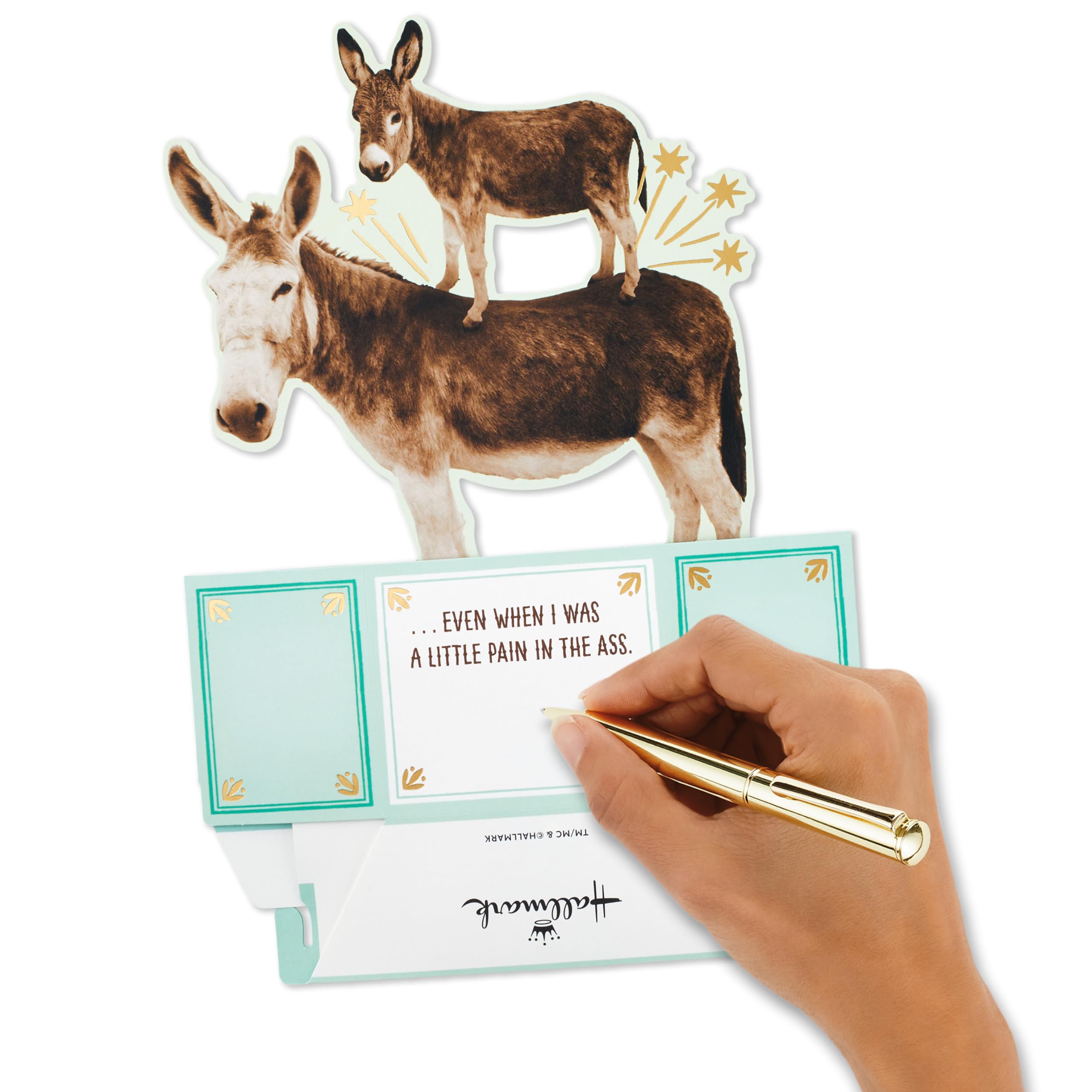 Hallmark Funny Pop Up Birthday Card from Son or Daughter (Donkeys, Pain in the...) Paper Wonder Shoebox 3D Card