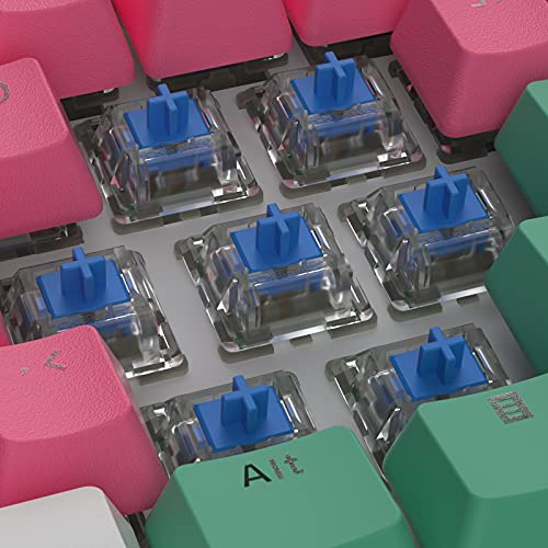 BOYI 60% Mechanical Keyboard,BOYI 61 Key Mini RGB Cherry MX Switch PBT Keycap 60% RGB Mechanical Gaming Keyboard (Cherry MX Blue, BOYI Mini Color 4)