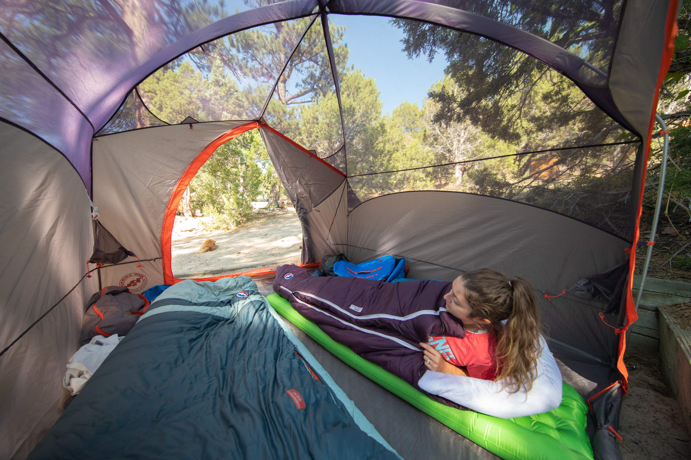 Big Agnes Women's Sidewinder Camp 20 Sleeping Bag (FireLine Eco) Petite