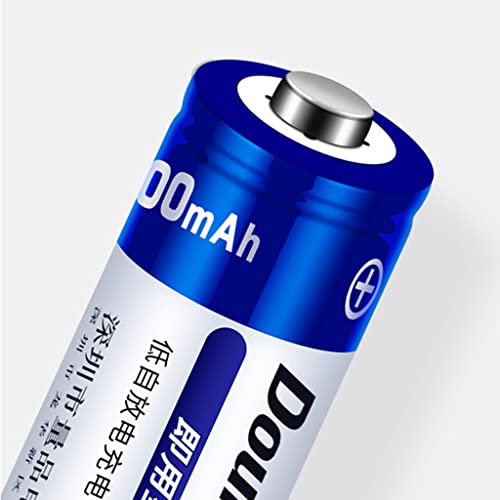 CANNOA No.5 Rechargeable Battery No.5 Battery High Capacity Microphone No.5 20-Pack High Capacity Rechargeable Battery Rechargeable Battery (Size : No.5)