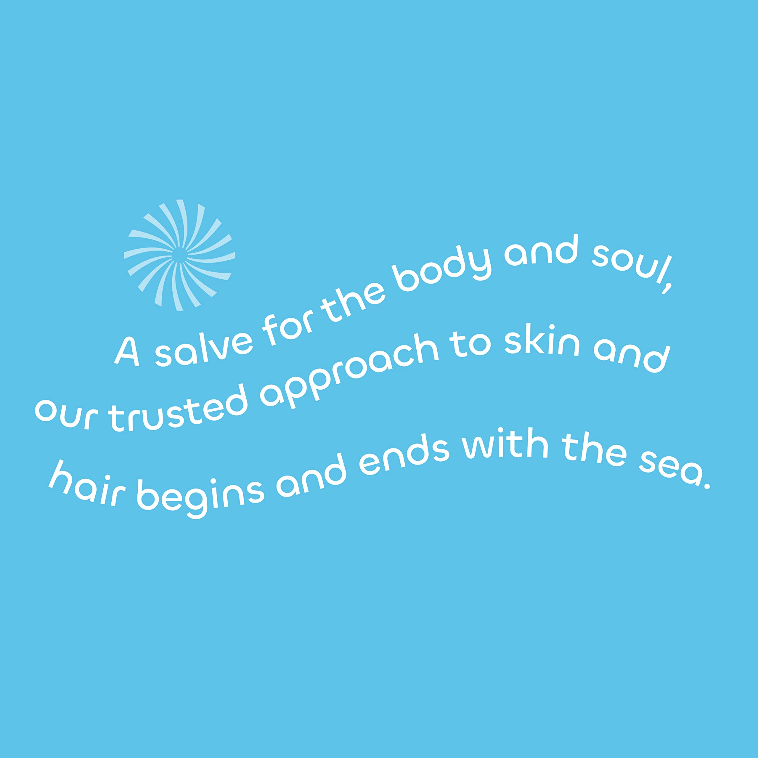 Seaweed Bath Co. Gentle Conditioner, Unscented, 12 Ounce, Sustainably Harvested Seaweed, Aloe, Argan Oil, for Sensitive Scalps