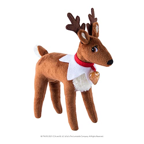 Elf Pets A Reindeer Tradition