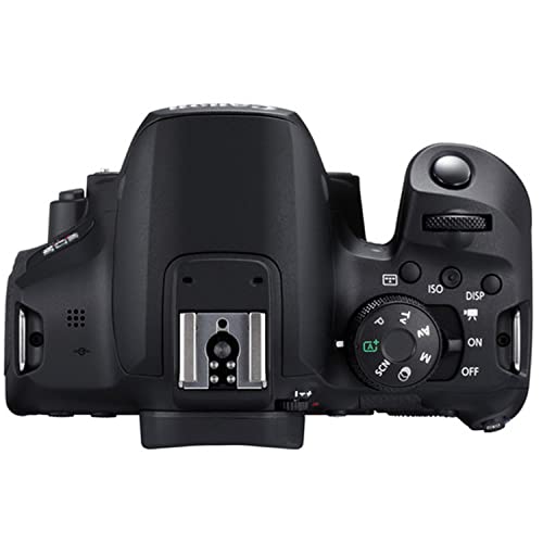 Canon EOS Rebel T8i DSLR Camera Bundle with 18-55mm STM Lens, Tripod, 64GB Memory Card, Battery, Carry Case, Filters, and Accessories