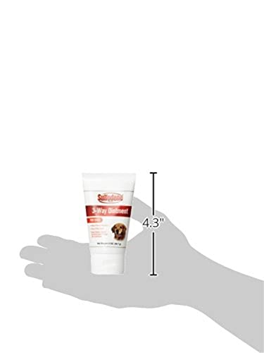Sulfodene Dog Wound Care Ointment, Relieves Pain & Prevents Infection For Dog Cuts, Scrapes, Bites and Injuries, 2 Ounce