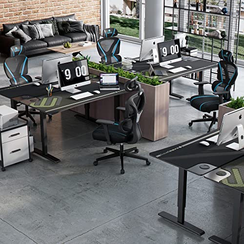 EUREKA ERGONOMIC Gaming Chair,Mesh Home Office Desk Chairs,Dual Back 3D Lumbar Support,Adjustable Armrest Headrest,Hight Back,Breathable Comfortable PC Computer Sillas Gamer Reclining Chair(Blue)