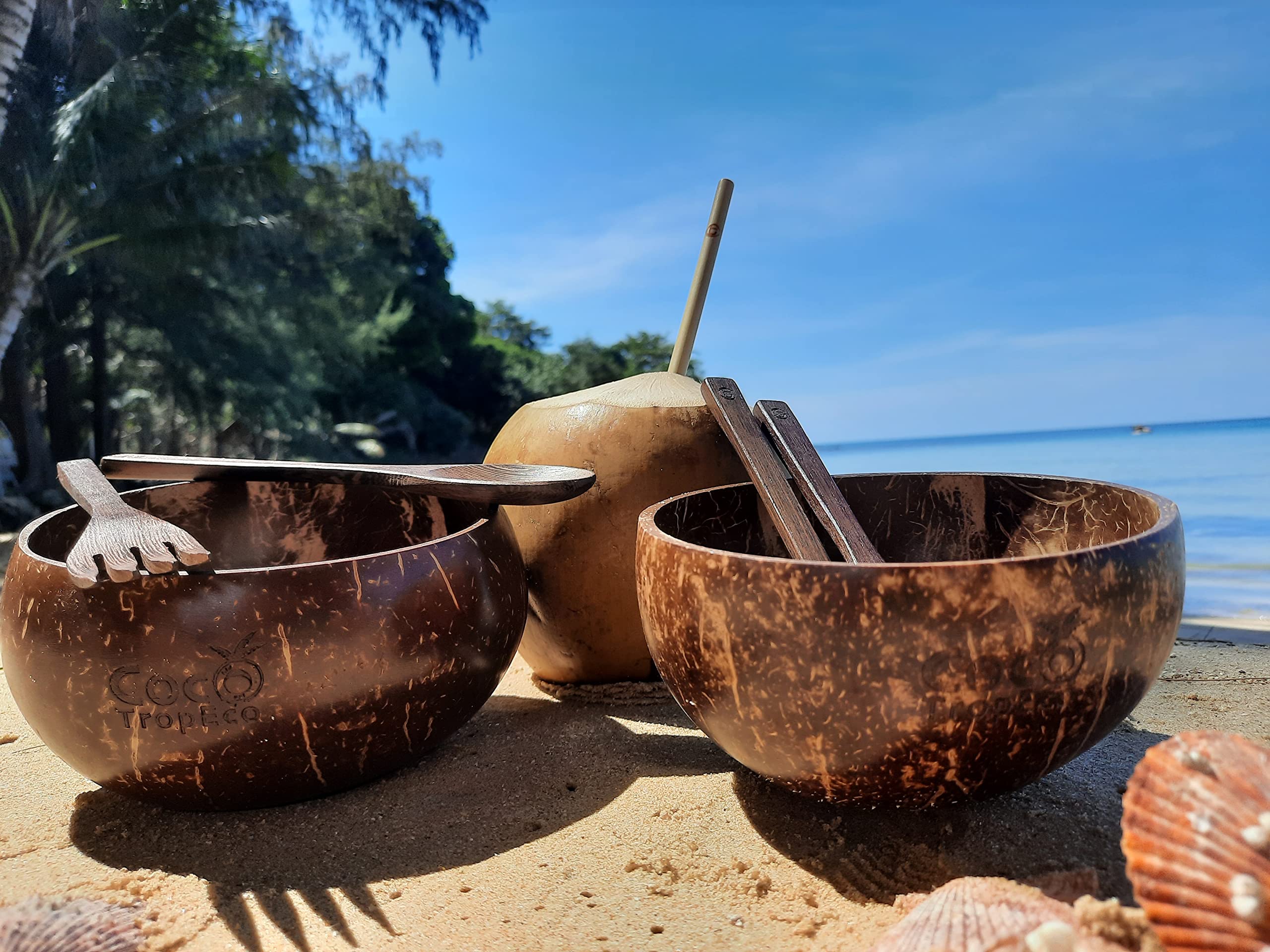 Coco TropEco Coconut Bowl Set of 4 - Handmade Bowls From Natural Coconut Shells + Wooden Spoons + Wood Forks and Bamboo Straws β Buddha Bowls Ideal for Acai Smoothie, Salad or Cereal β Polished β