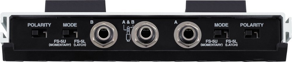 Boss FS-6 Dual Foot Switch and Hosa CSS-110 10' TRS Cable Bundle