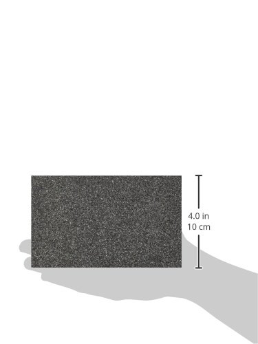 BOSCH 3601010509 Graphite Platen Pad for 4 x 24-Inch BOSCH Belt Sanders , Grey
