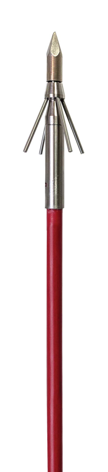 Cajun Bowfishing Fiberglass Arrow with 4 Barb Stinger Point, Red, One Size