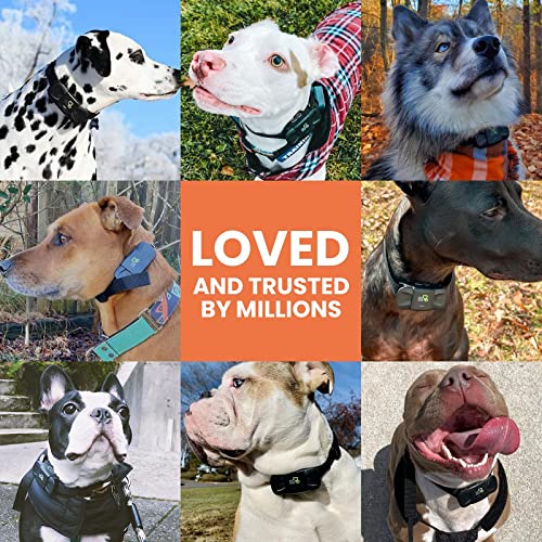 DOG CARE Dog Shock Collar with Remote, Dog Training Collars with 3 Modes, Waterproof Electronic Dog E Collar with 1500FT Remote, Keypad Lock for All Dogs