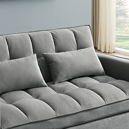 FANYE Loveseat Pull Out Sleeper Bed,2 Seater Sofa & Couch W/Adjustable Backrest Home Apartment Office Living Room Furniture Sets Sofabed, Gray Twin Velvet Two Pillows Both Side Pockets