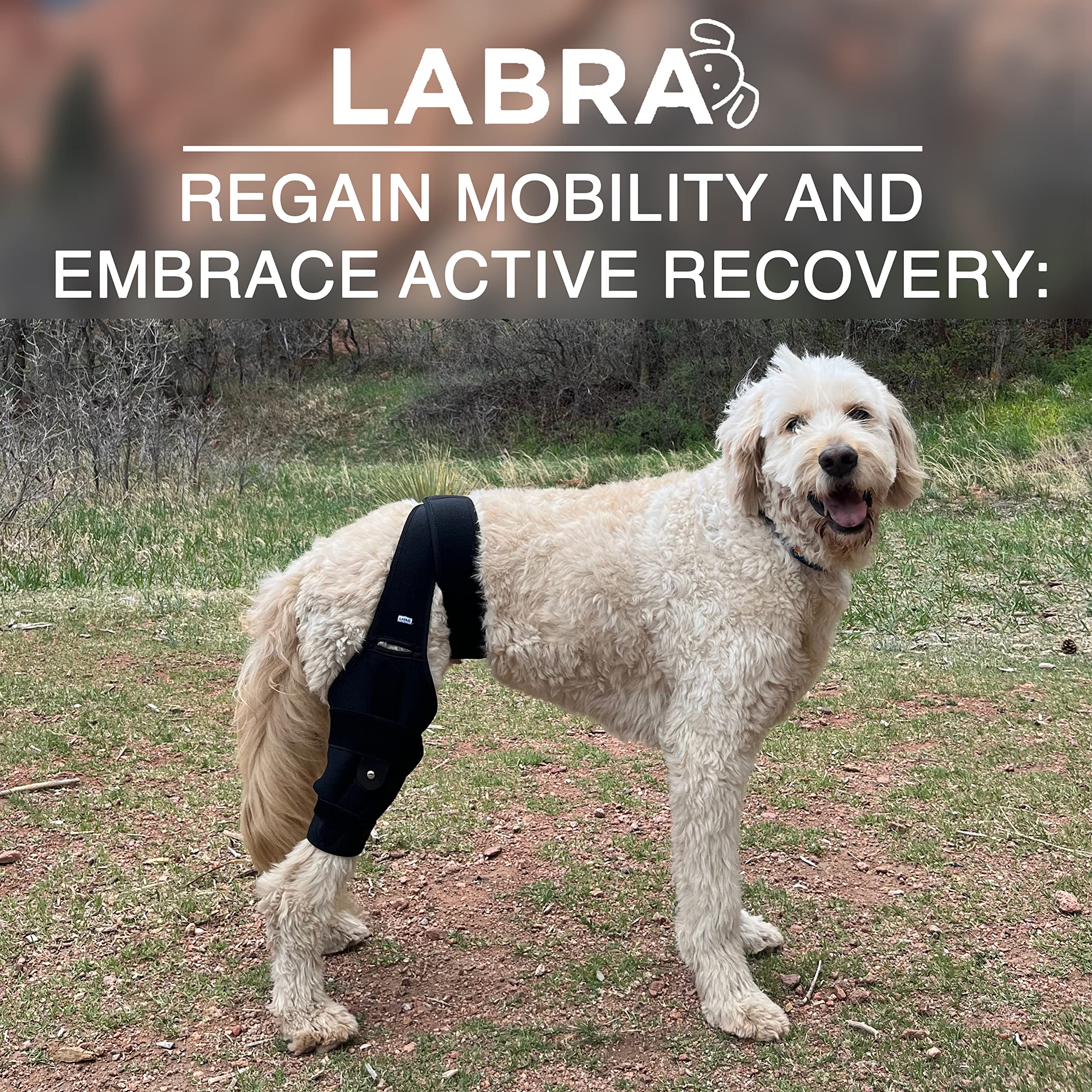 Labra Dog Canine Knee Stifle Brace Wrap, Metal Splint Hinged Flexible Support Brace for K9 ACL, CCL, Luxating Patella, Cruciate Ligament Sprains in Back, Rear, Hind Leg (Extra Large - 75-100lbs)